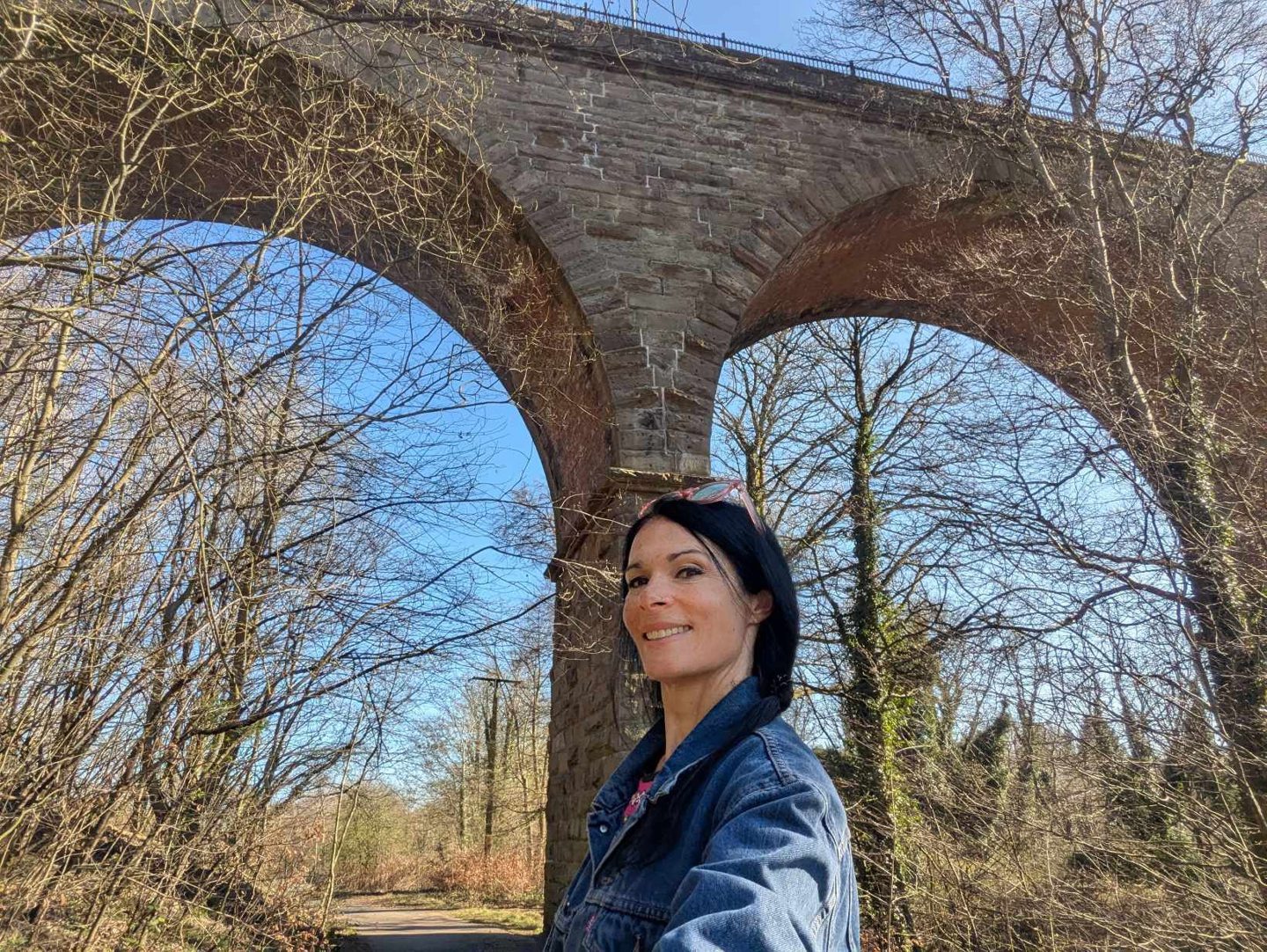 What's special about Seven Arches Viaduct at Balmossie?