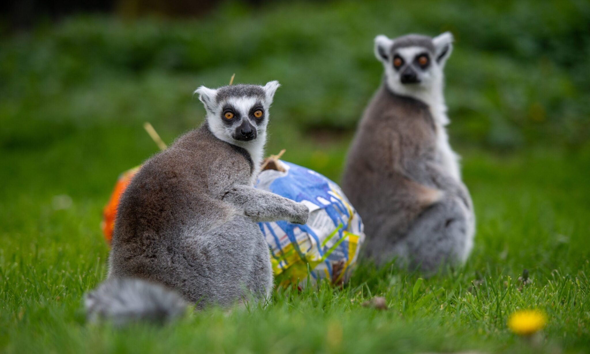 LiveHouse Dundee: Q&A on new city centre venue