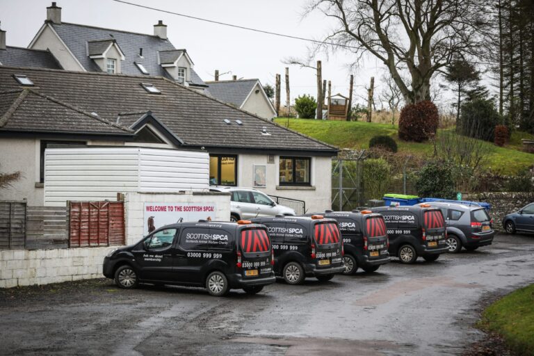 SSPCA Tayside and Fife rescue centre set to close in days
