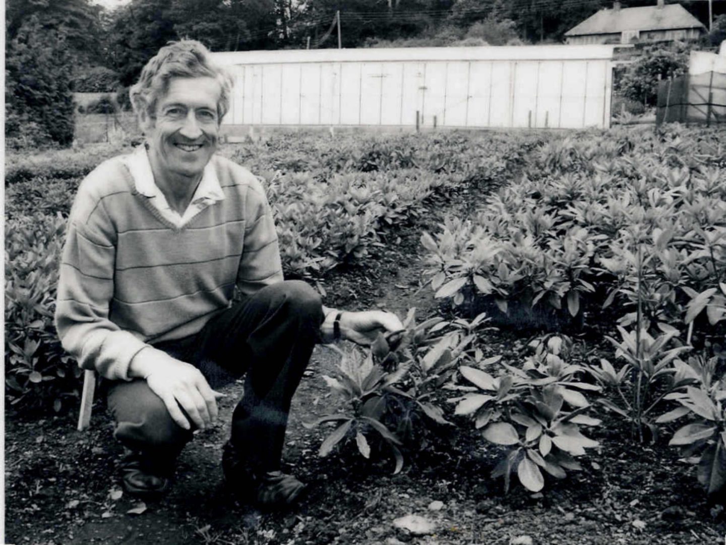 Peter Cox: Glendoick Garden Centre founder dies at 91