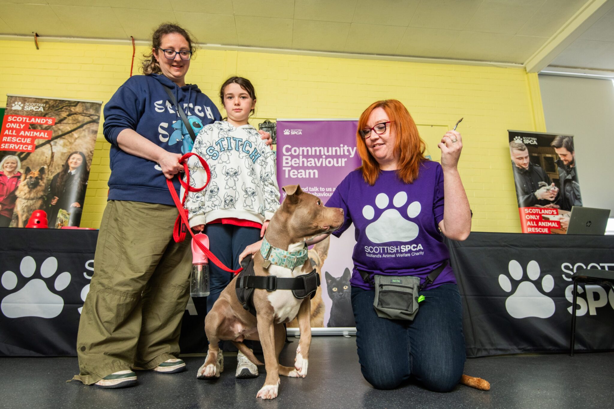How Scottish SPCA project can help Dundee owners in 'pet debt'