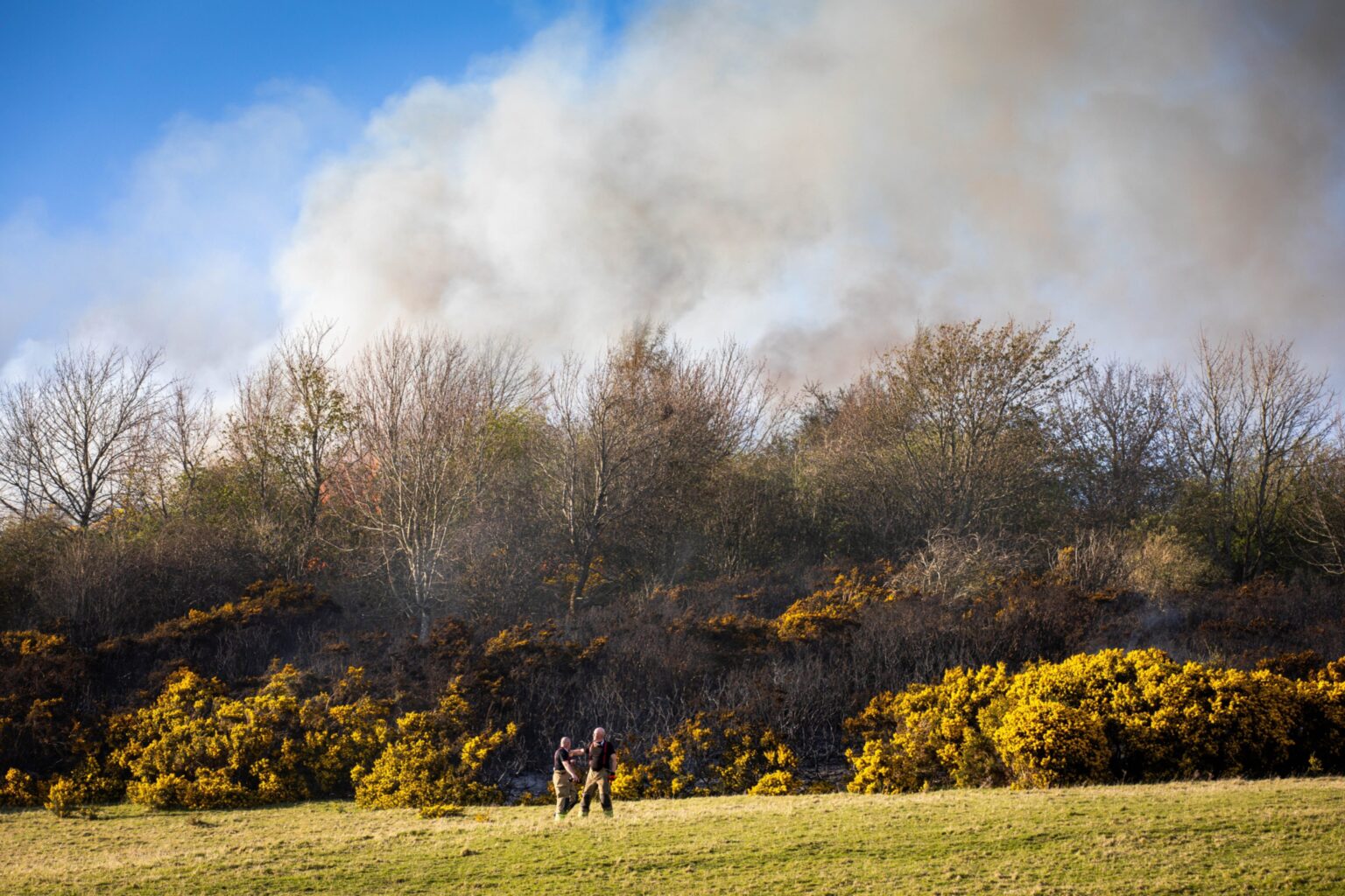 MP blames TikTok 'trend' for youths setting off 100+ fires in Fife