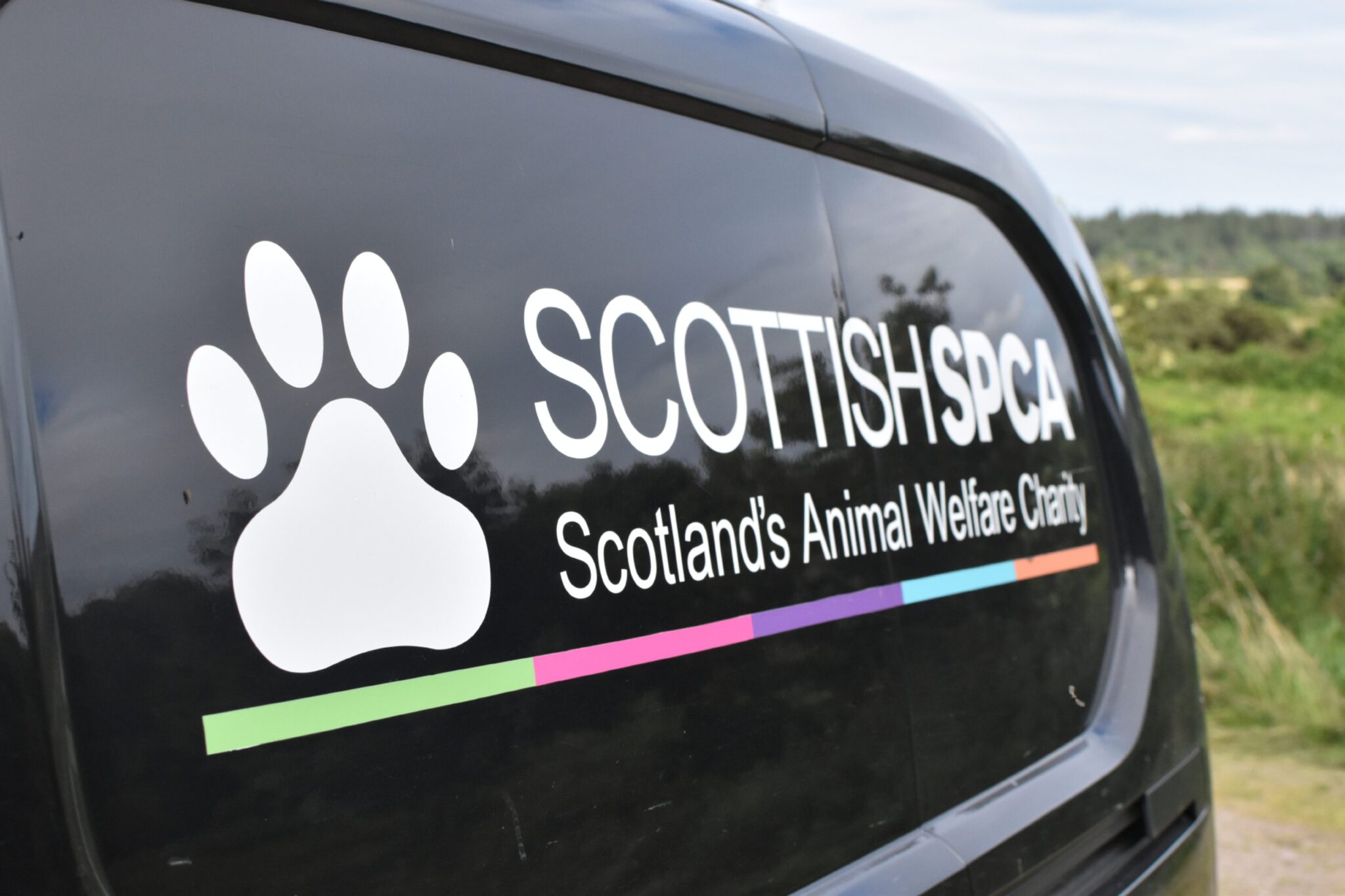 How Scottish SPCA project can help Dundee owners in 'pet debt'
