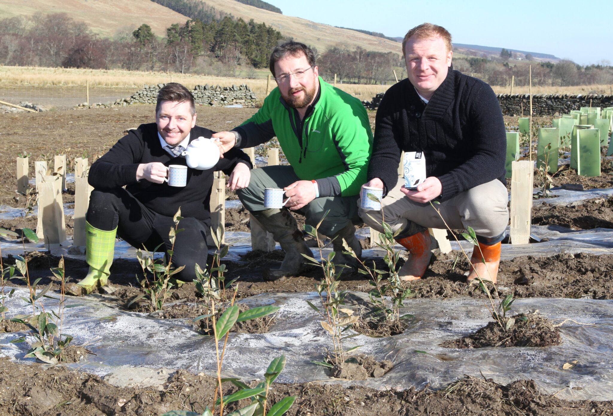 Scottish tea blag — Perthshire businessman guilty of £550k fraud