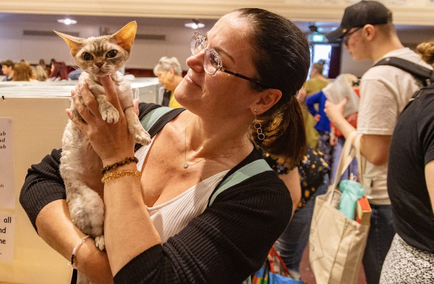 In Pictures: Dundee cat show lands in Caird Hall