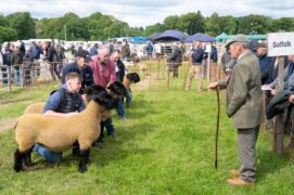 Thousands expected at Angus Show