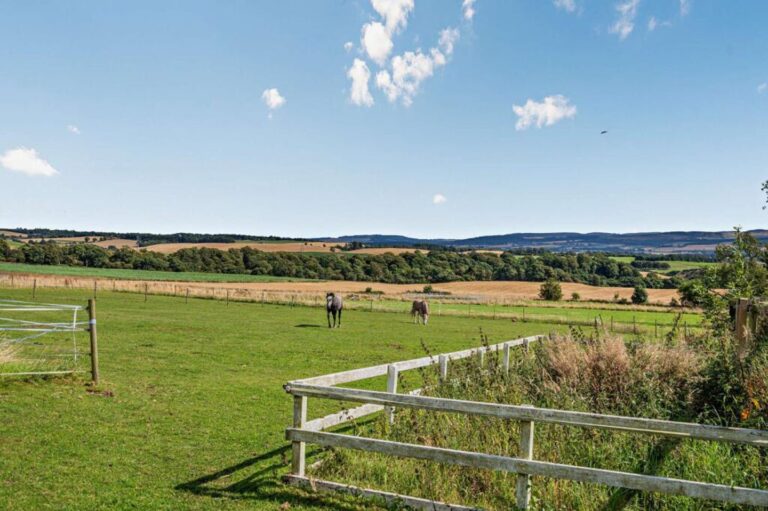 Alyth holiday let business with 4 cottages and paddock hits market