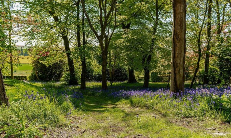 Beautiful £2.75m north-east Fife country home for sale