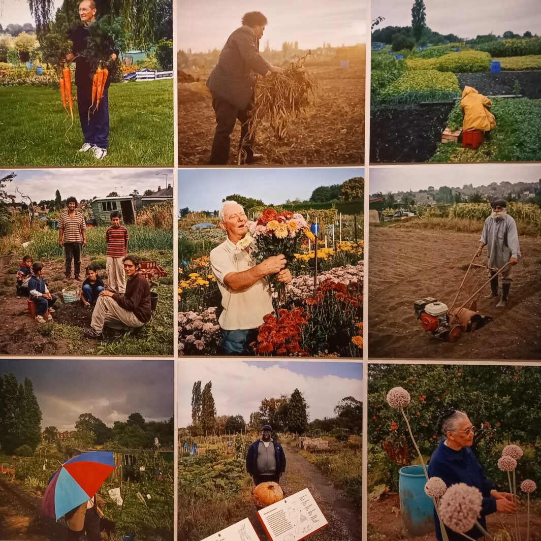 V&A Dundee's Garden Futures: First look at Eden Project’s ‘Living Wall’