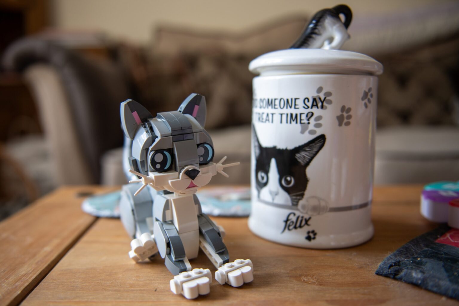 Furr Pets Sake: Coupar Angus pet sitting business success