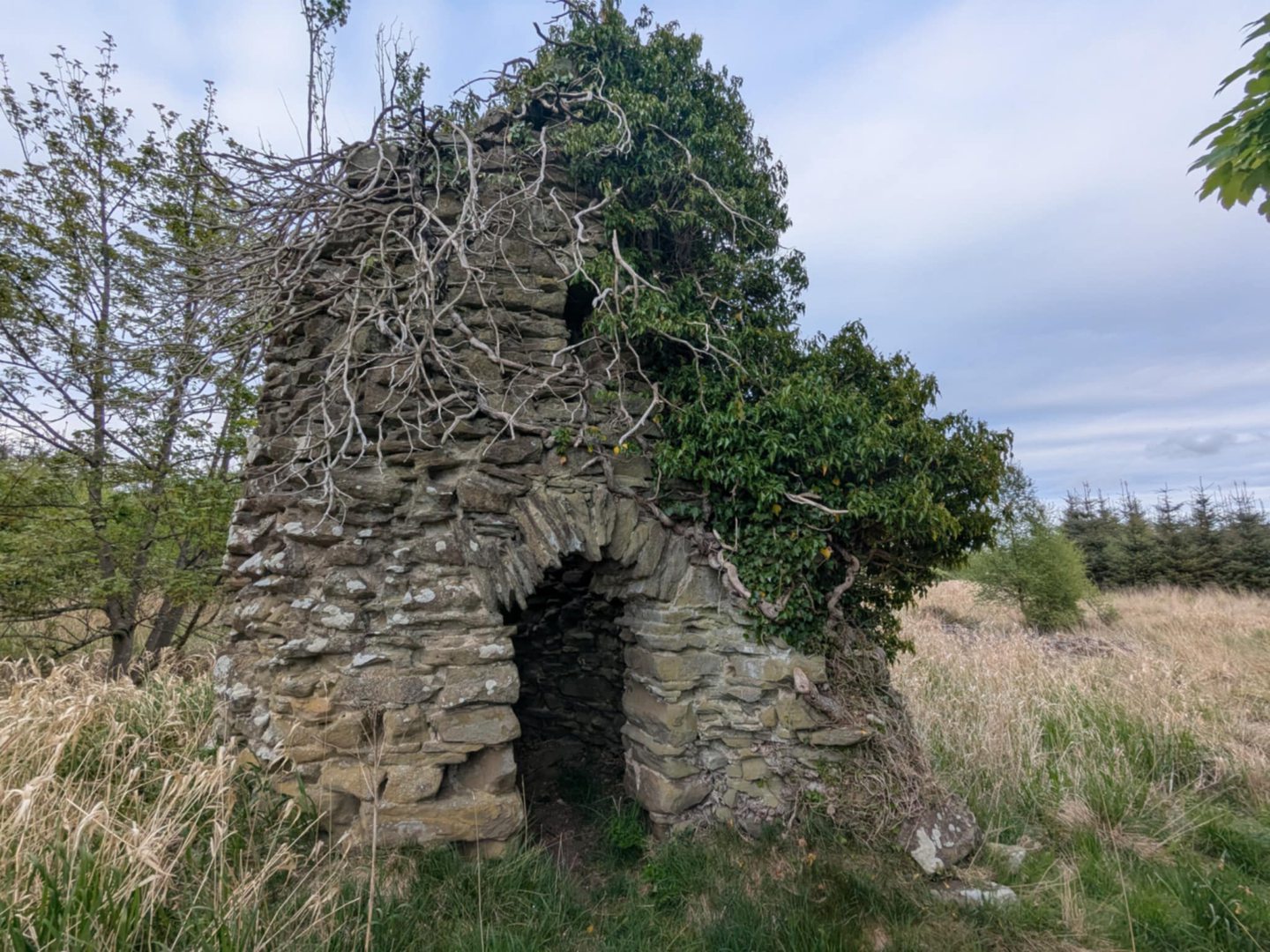 Discovering hidden treasures of Panmure estate near Carnoustie