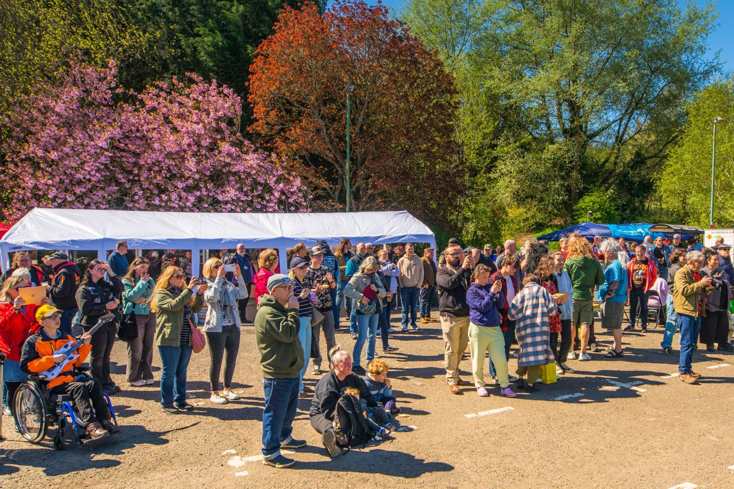 Great pictures as Kirrie gets its rocks off at Bonfest