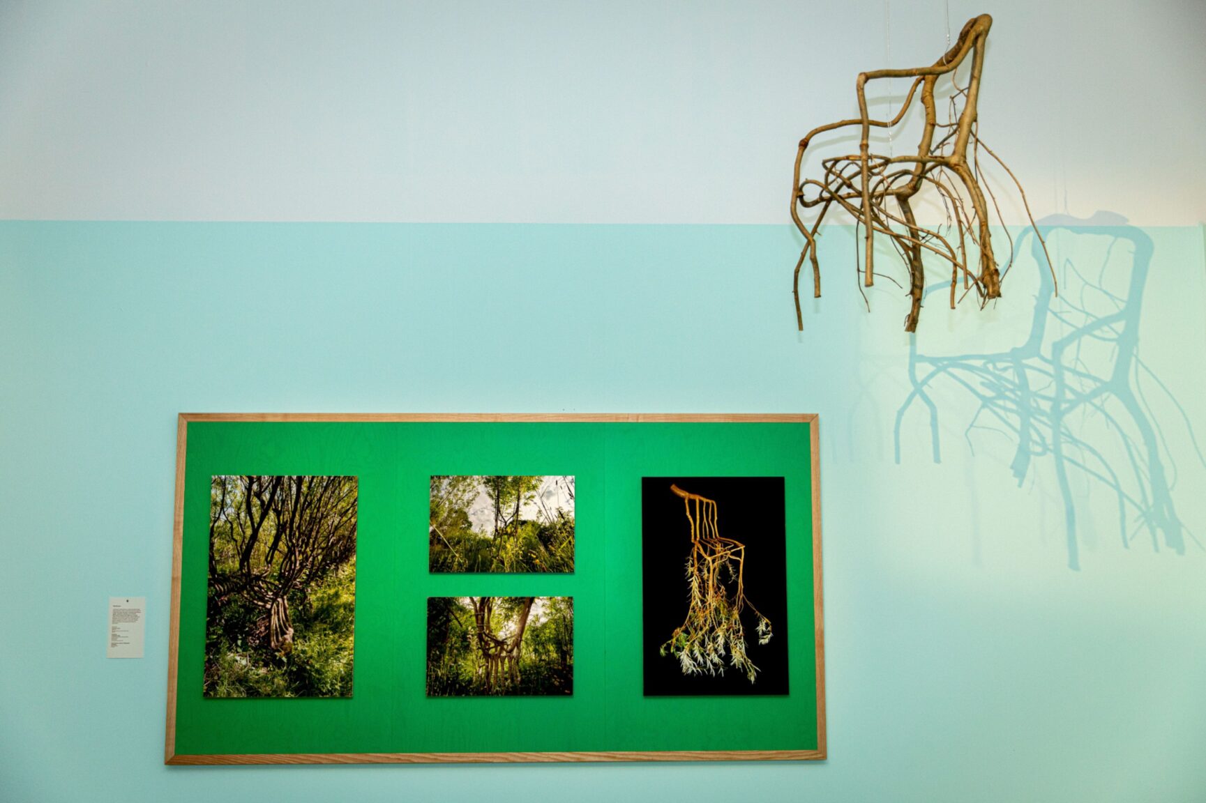 V&A Dundee's Garden Futures: First look at Eden Project’s ‘Living Wall’