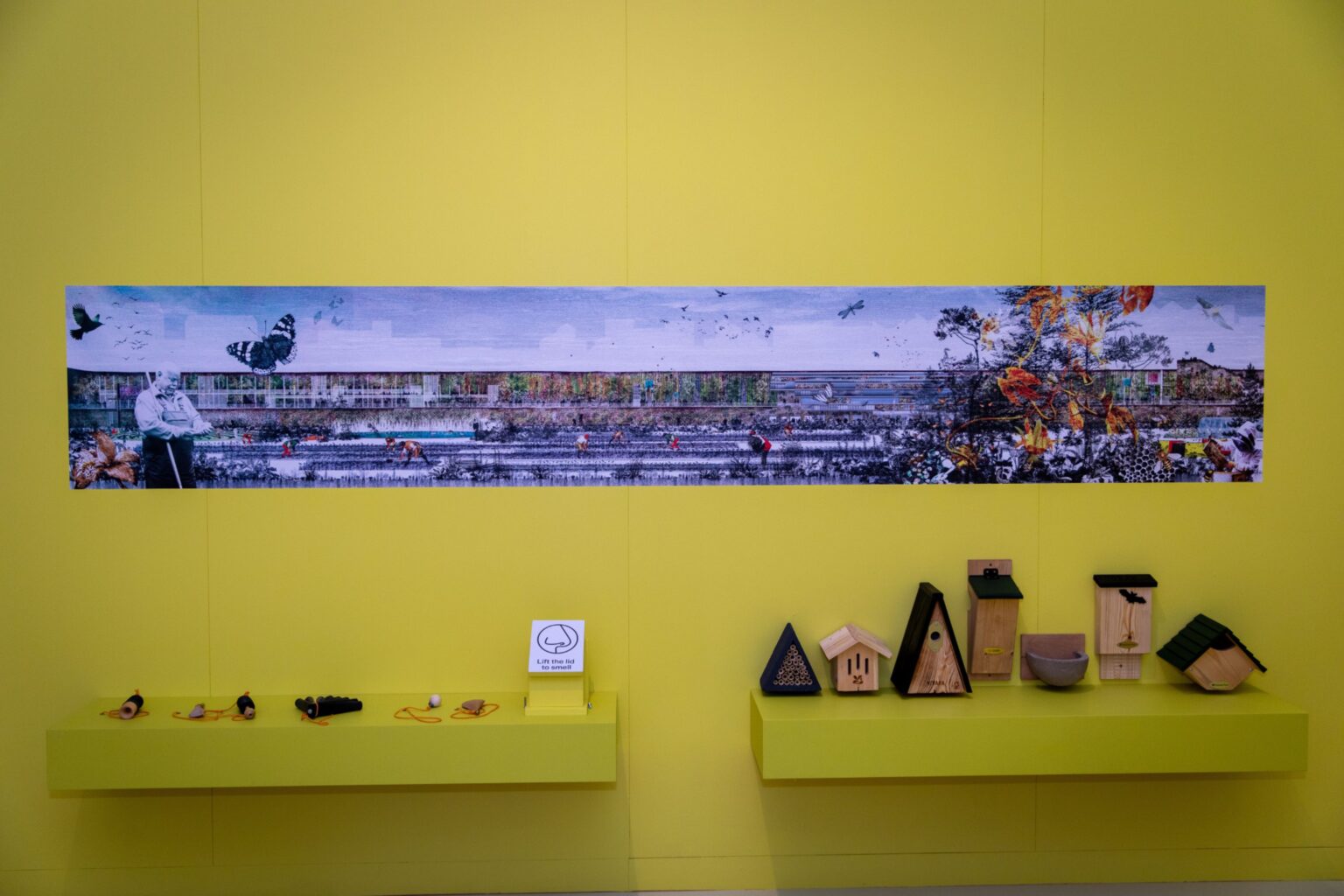 V&A Dundee's Garden Futures: First look at Eden Project’s ‘Living Wall’