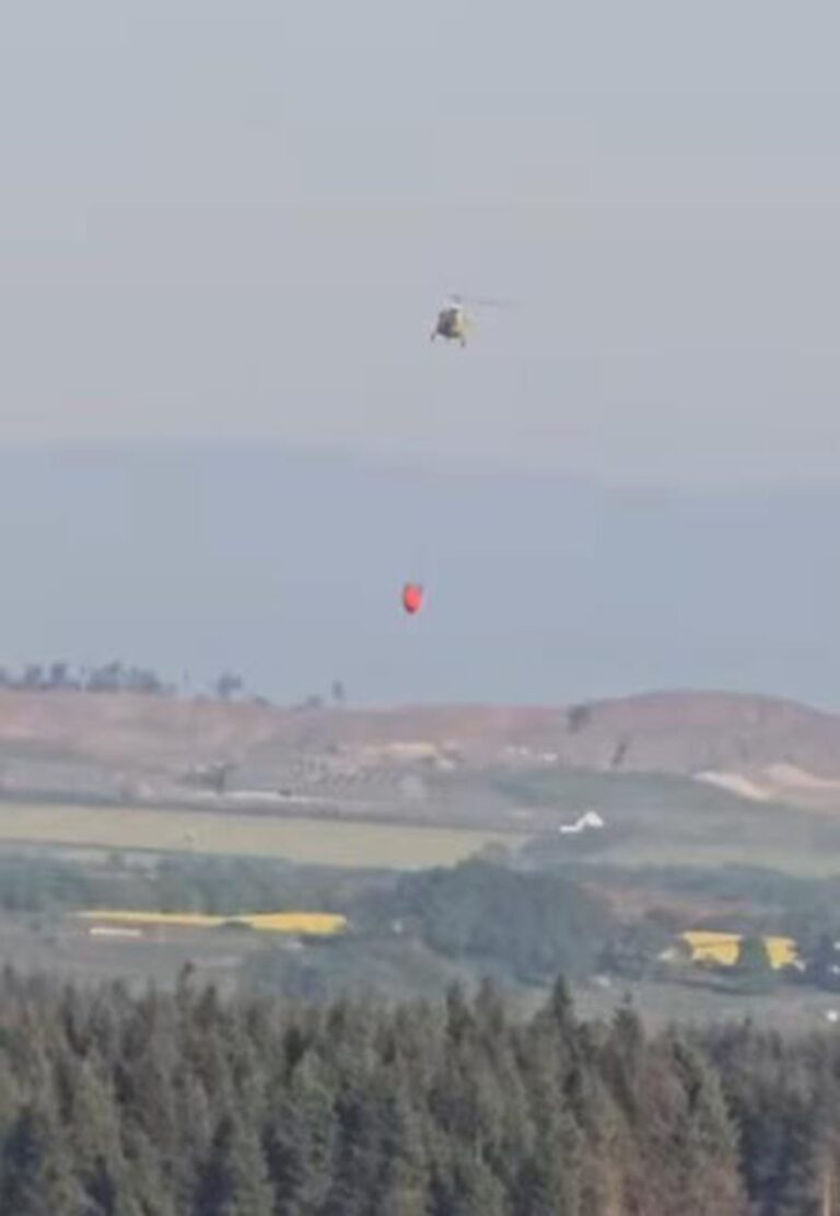 Firefighters tackle wildfire at Fife forest