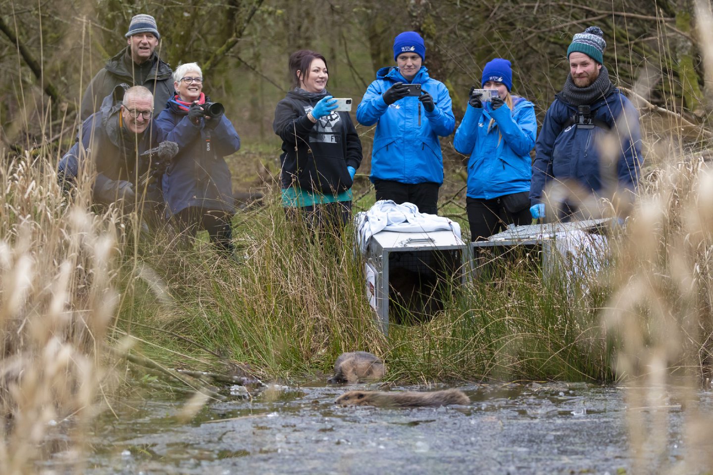 On the Stirlingshire estate at the heart of Scotland's beaver storm
