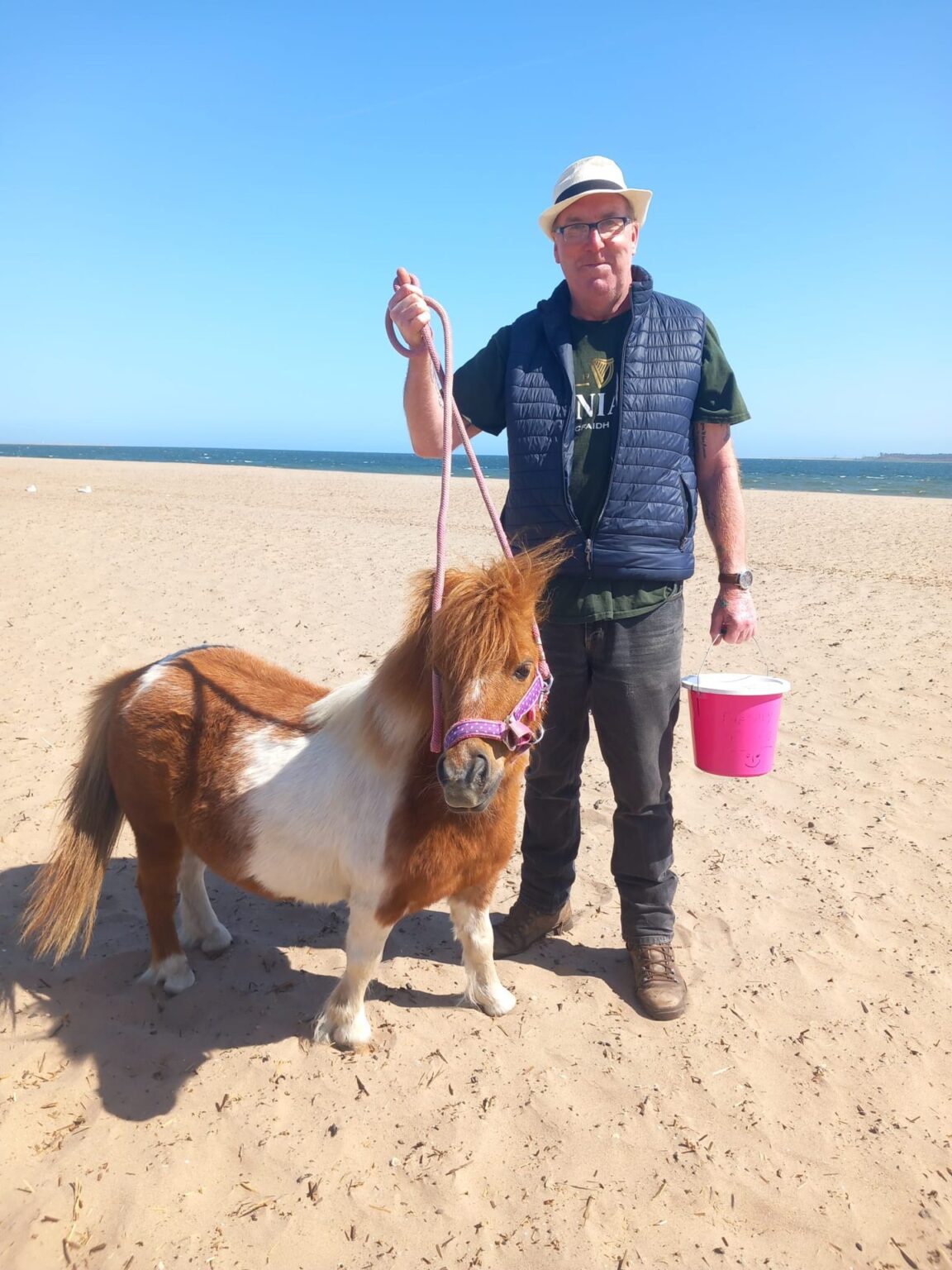 Video of Dundee man taking Shetland pony for a walk goes viral