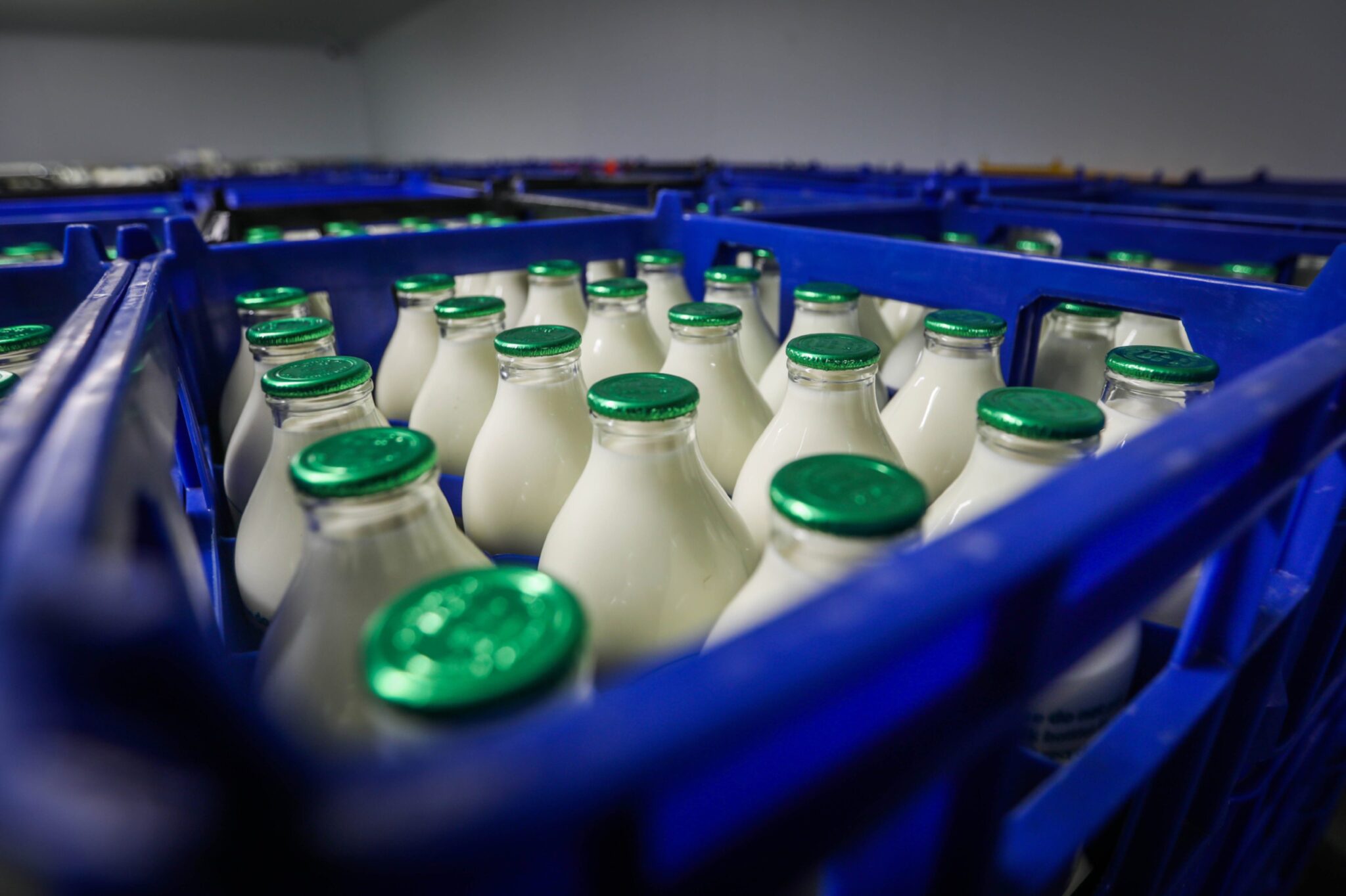 Kerr's Dairy family bosses on growing Dundee firm