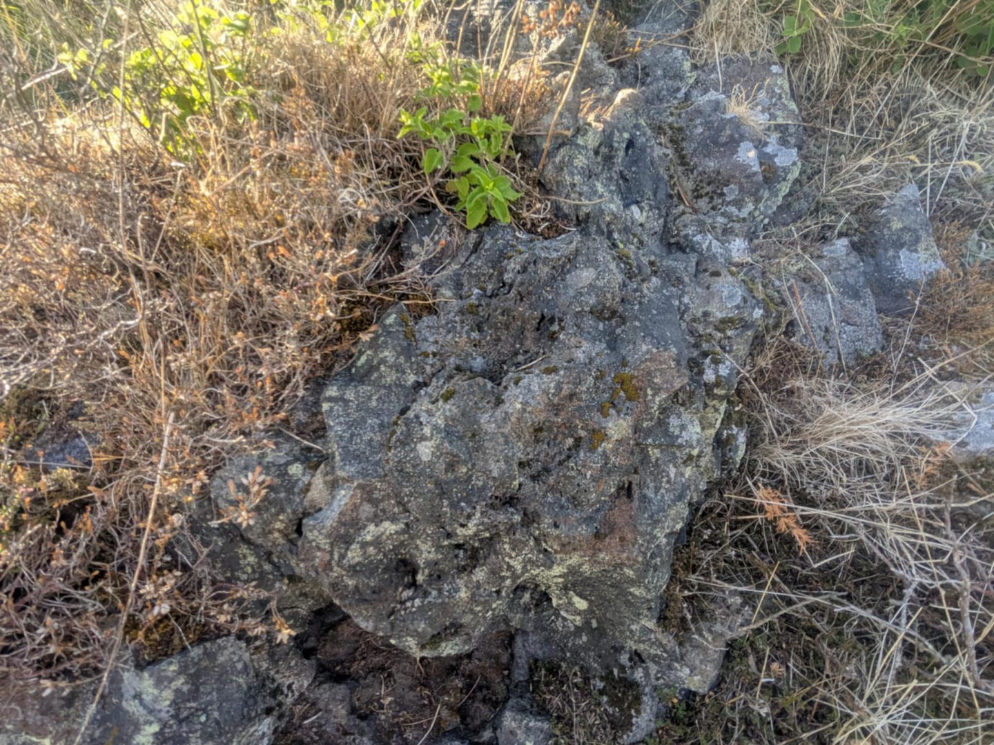 Exploring mysterious 'melted' Iron Age fort on Finavon Hill