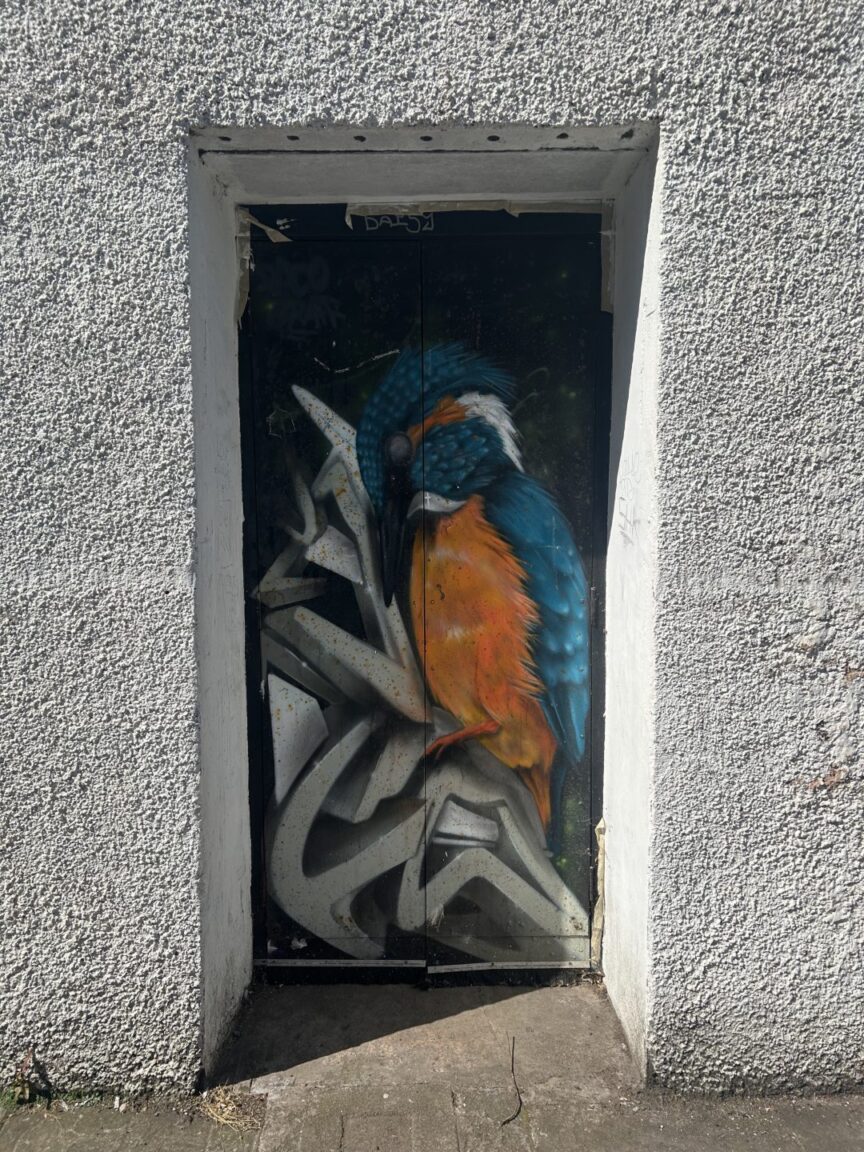 How is the Open/Close Dundee city centre street art trail?