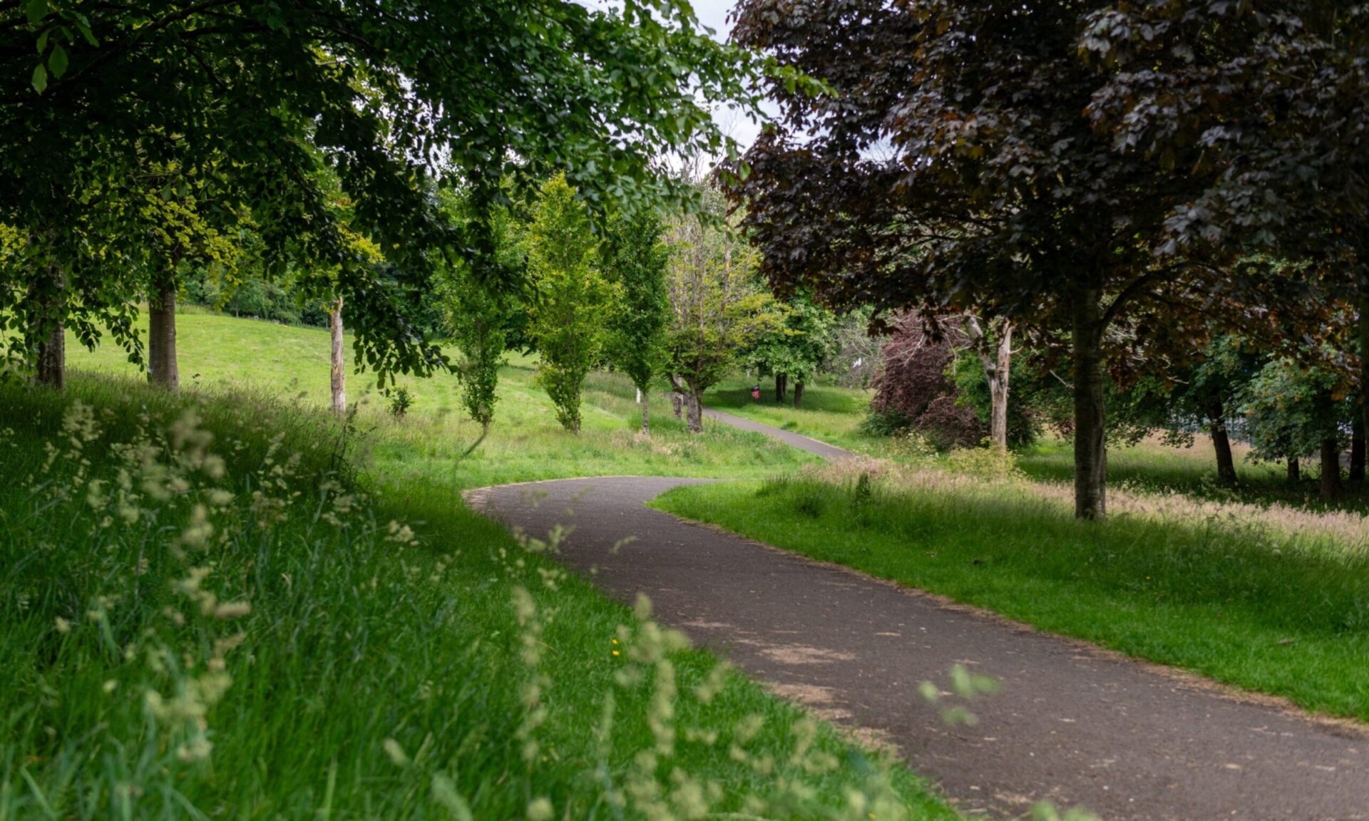 Dundee police still hunting for dog and owner after girl attacked