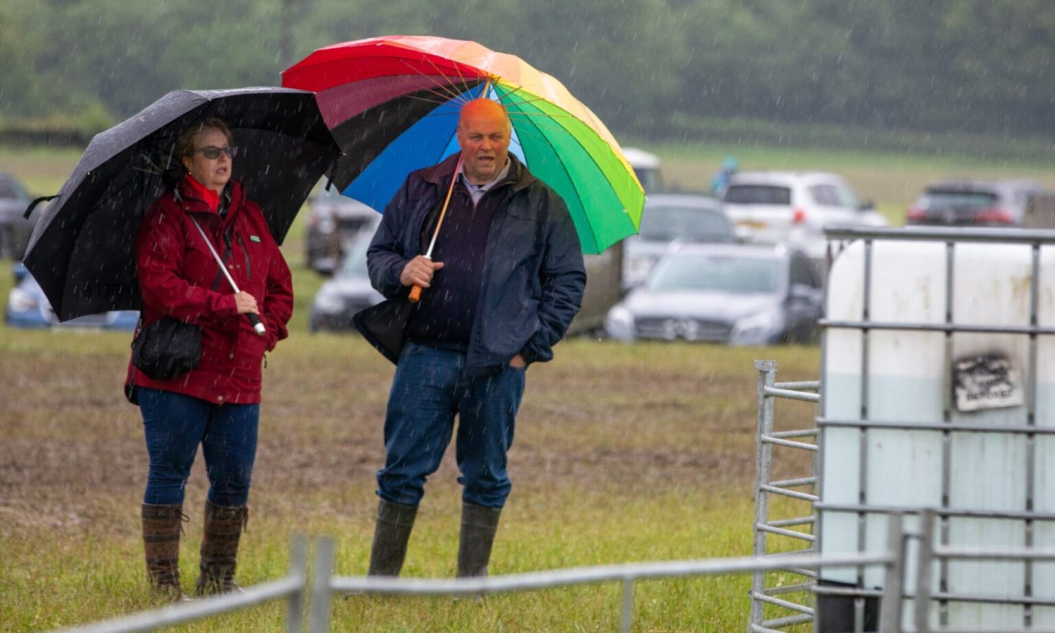 All you need to know about Fife Show