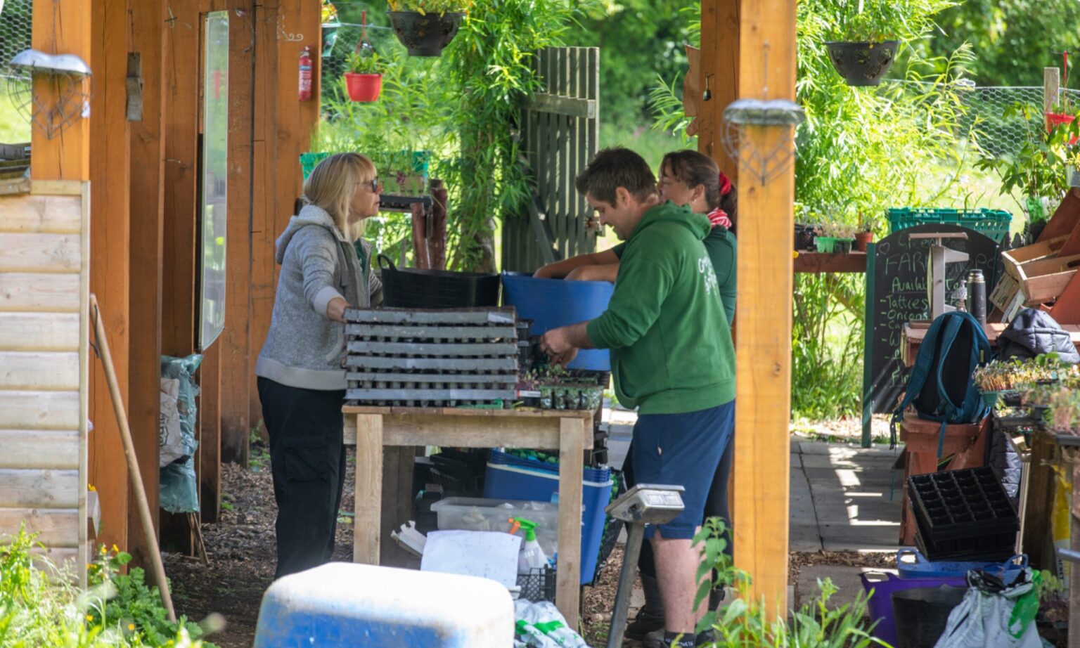 Greenheart Growers Kinghorn: From city roots to Michelin kitchens