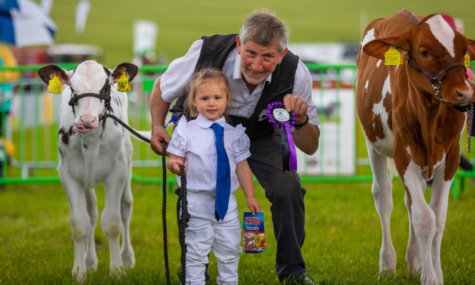 All you need to know about Fife Show
