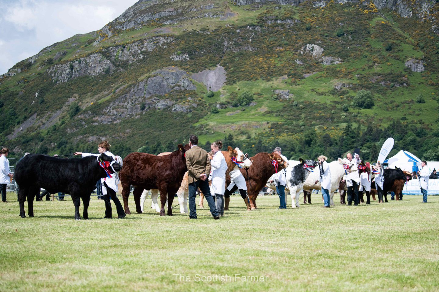 All you need to know about Stirling Agricultural Show