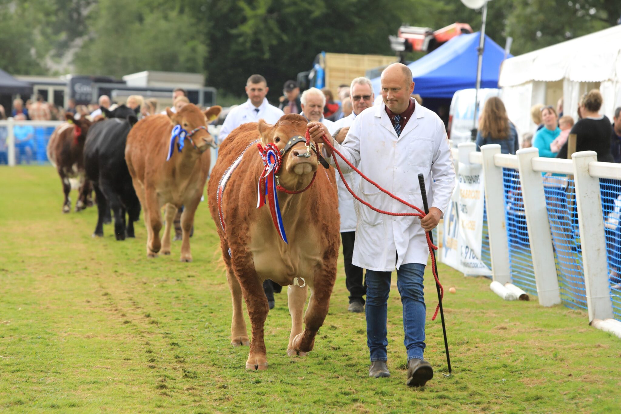 All you need to know about Braco Show