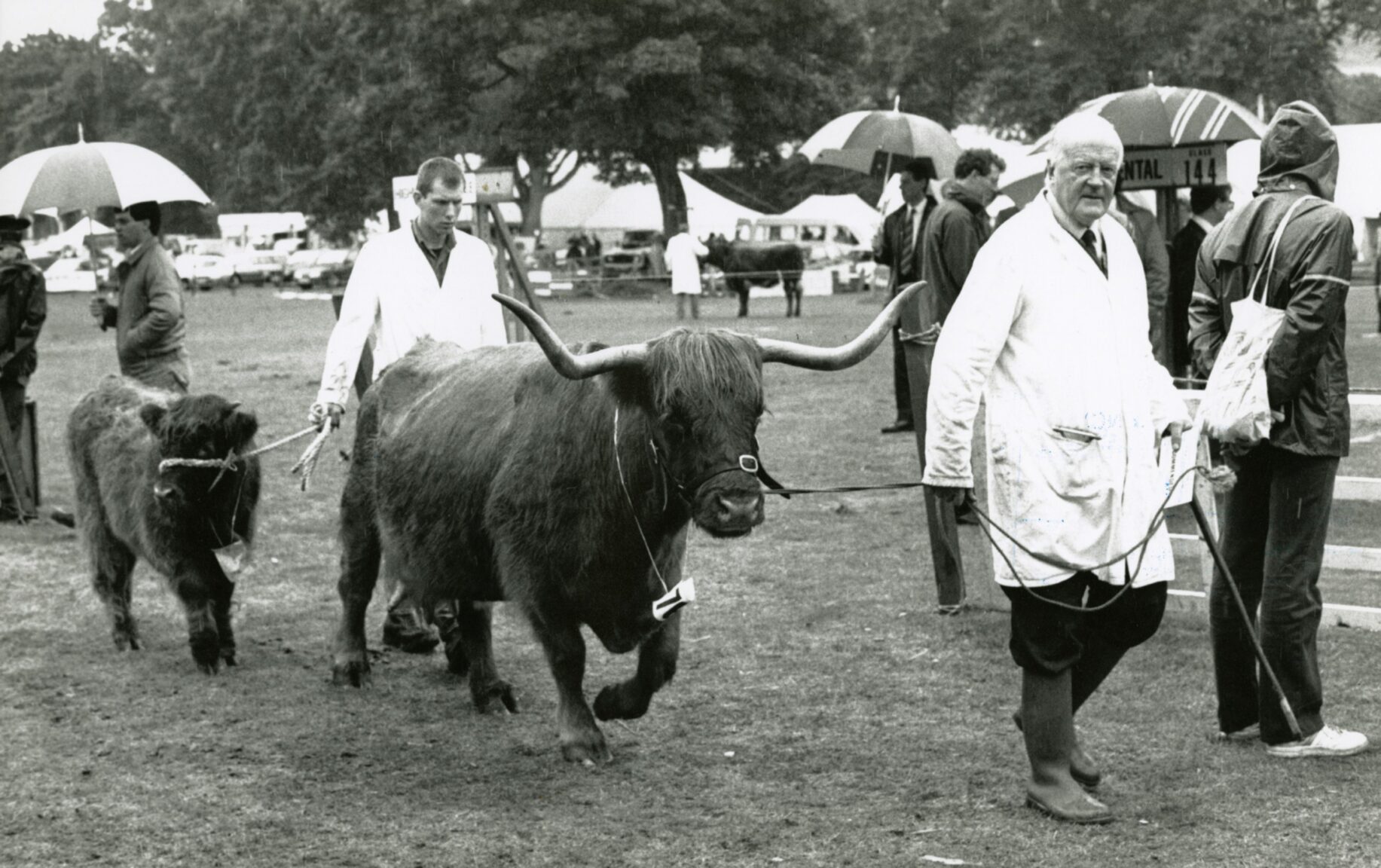 All you need to know about Perth Show