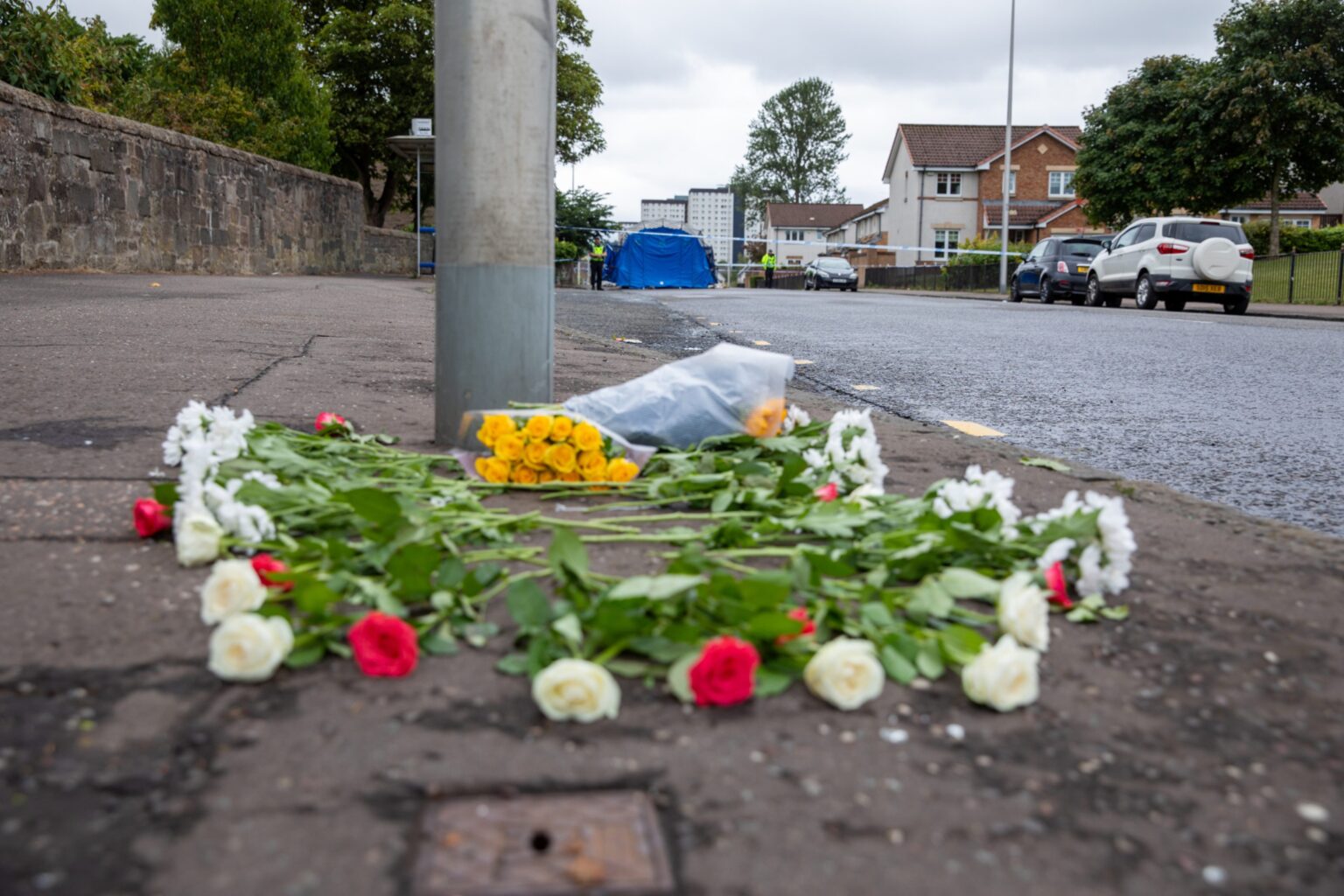 Woman dies after alleged attack on South Road, Dundee
