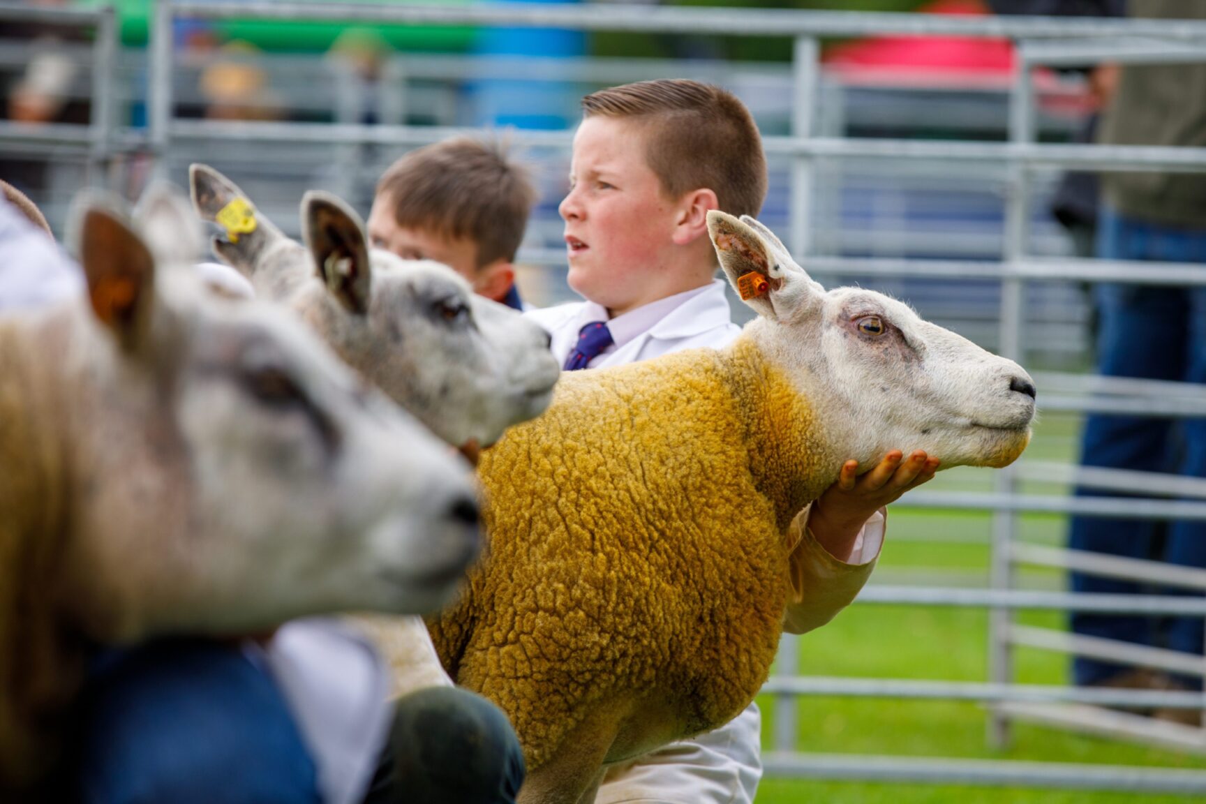 Gallery: Perth Show through the years