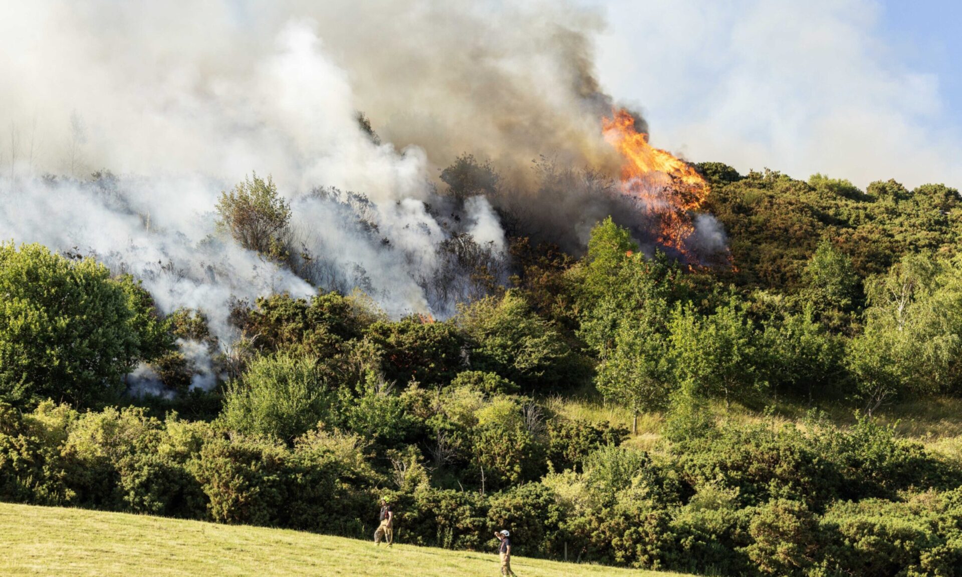 Perth wildfire: Firefighters battle blaze seen from M90 overnight