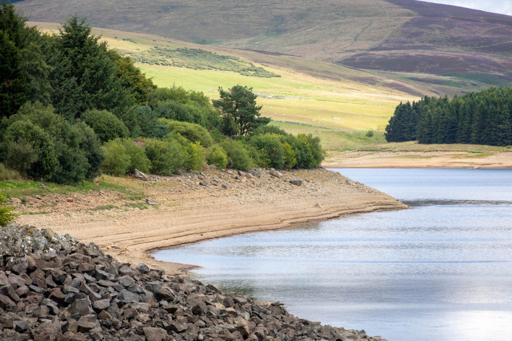 Angus reservoir topped up by record January rainfall