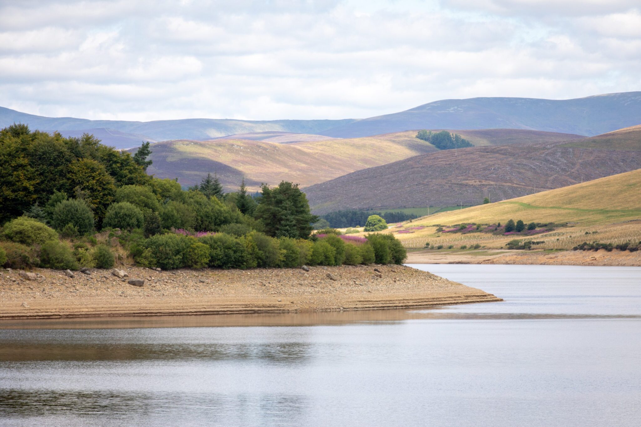 Angus reservoir level drops another 10% last month in dry summer