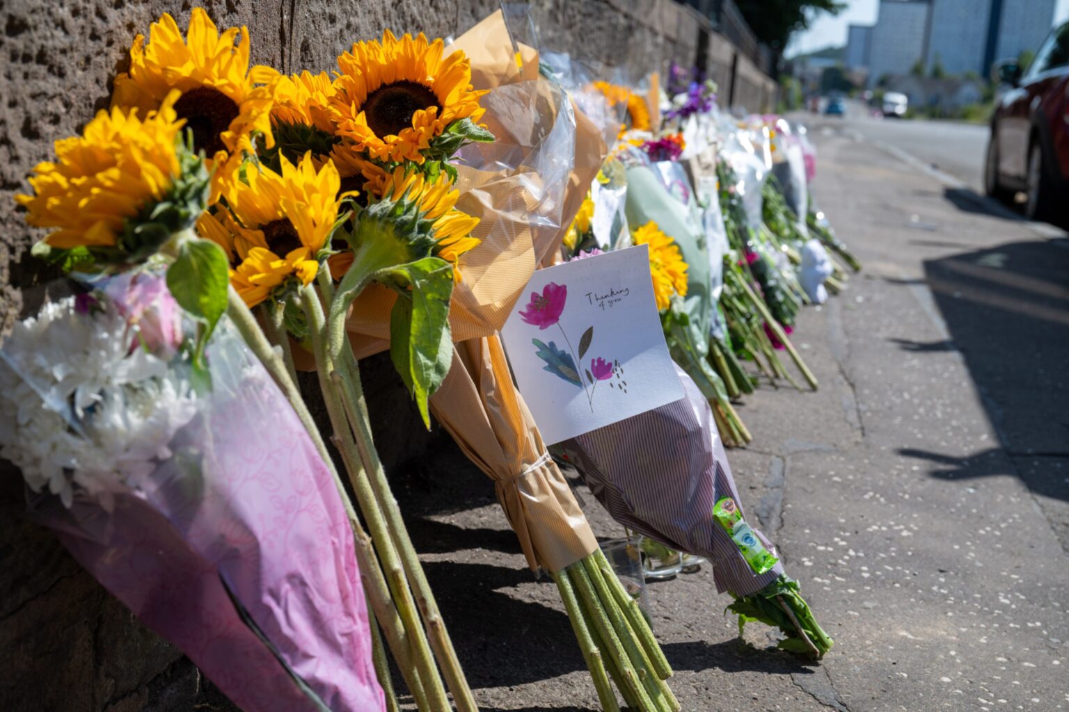 Dundee man Kyler Rattray to stand trial accused of scientist murder