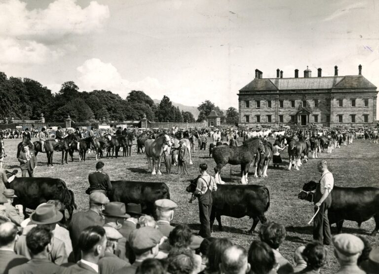All you need to know about Kinross Show