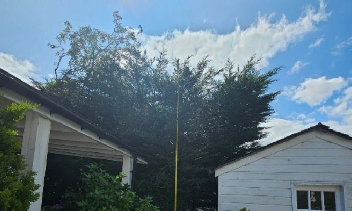 Video: Dog walker captures 'UFO' above the skies in Perth