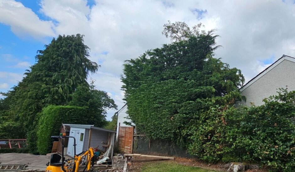 Perth resident fights council over neighbour's 7m-high hedge