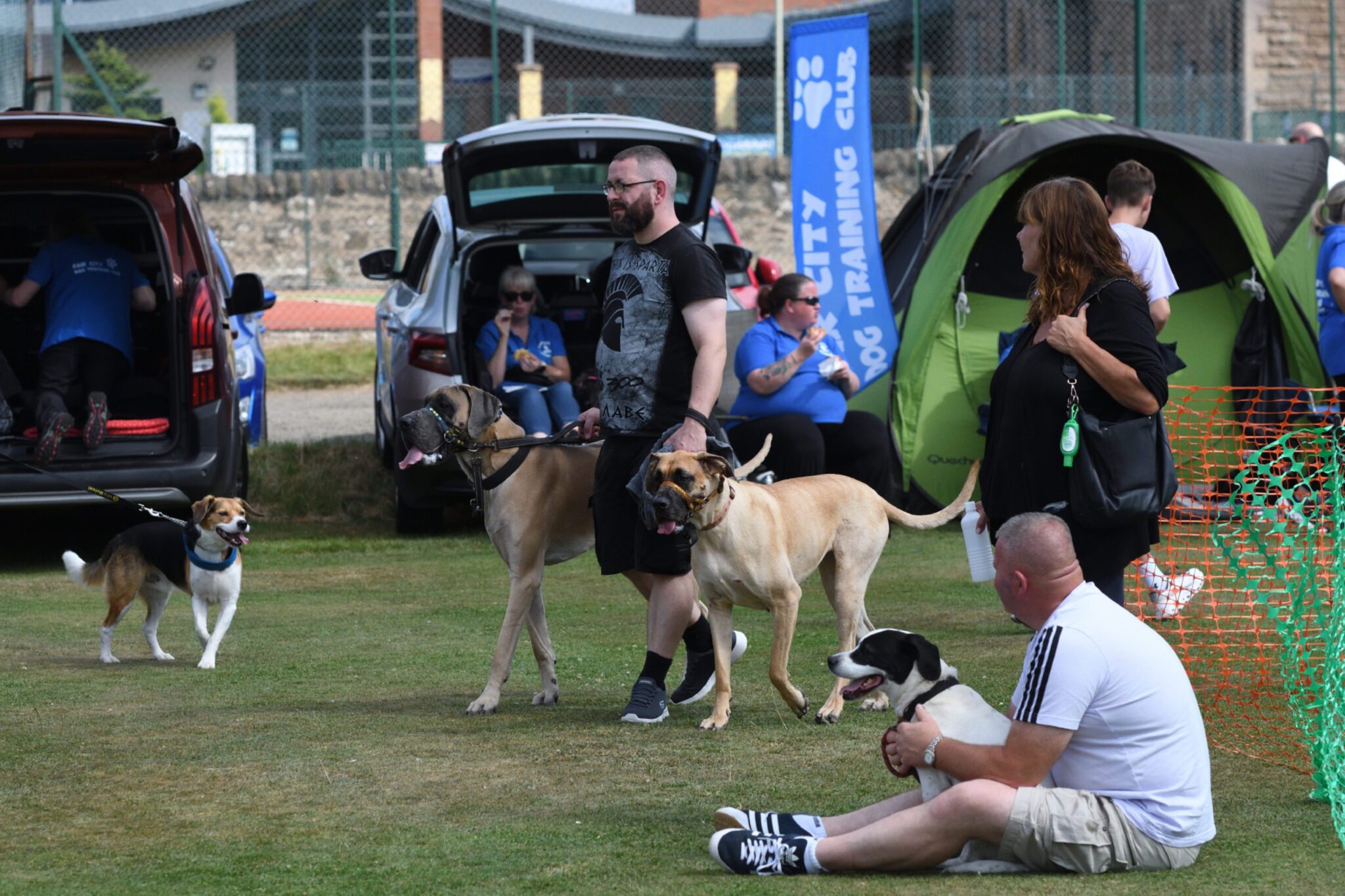 Scrufts: PADS charity dog show in pictures