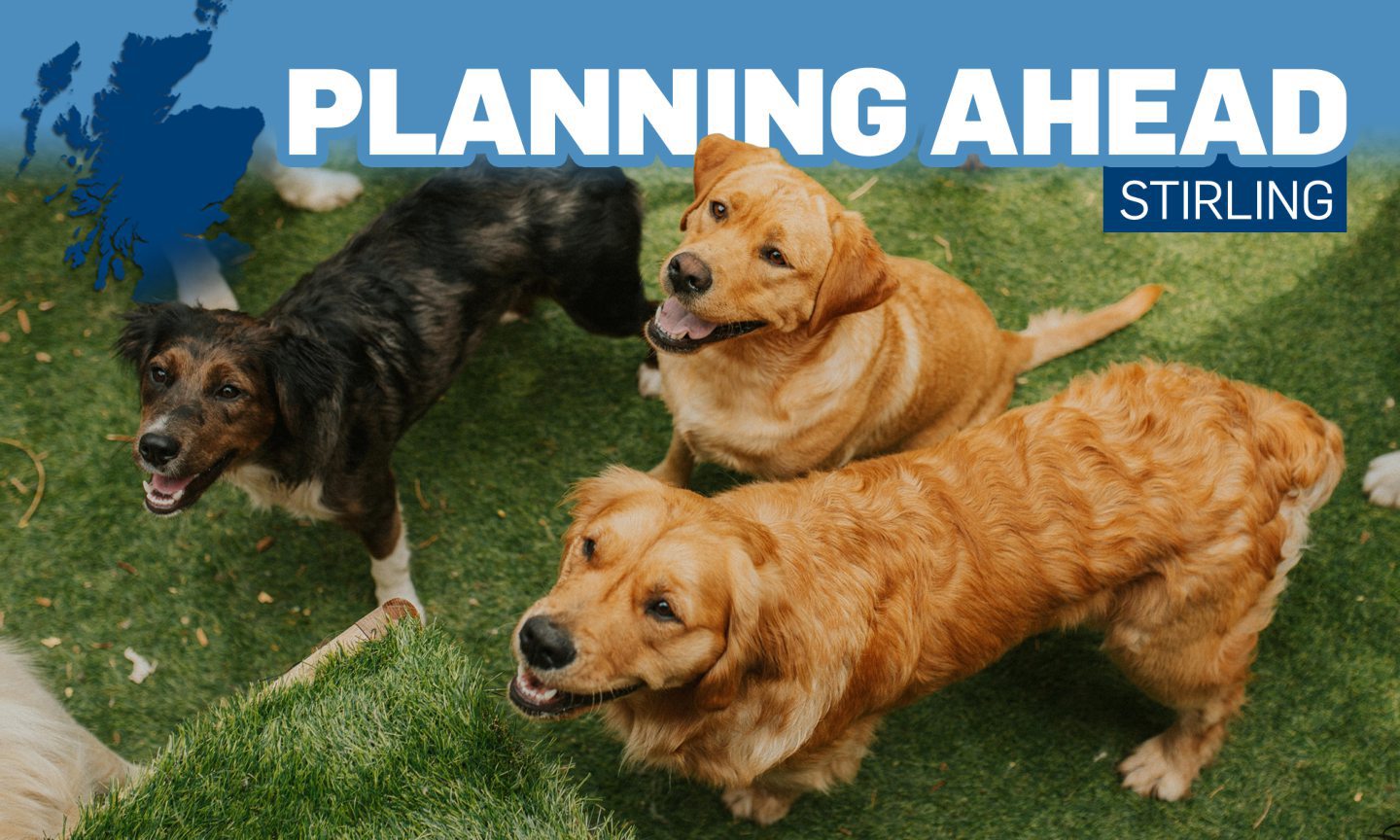 Stirling Council planning: Dog training and day care expansion plan