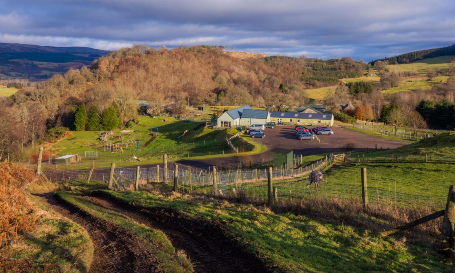 Angus Christmas bins and recycling centre changes revealed