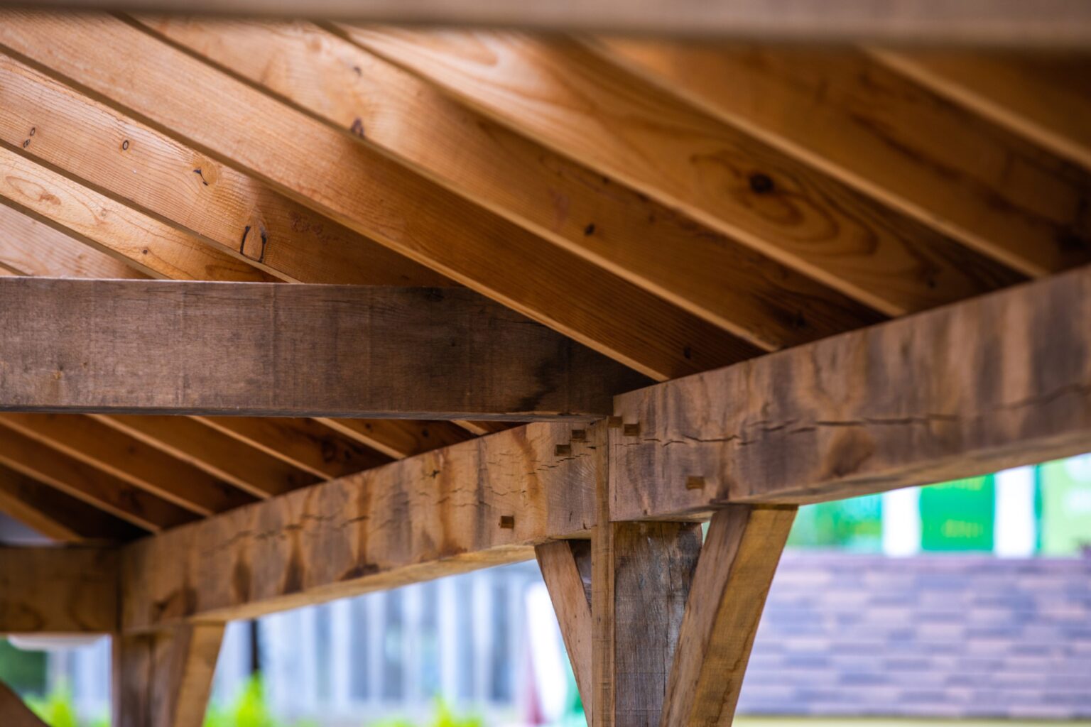 Oak canopy transforms Taste Perthshire with new outdoor space
