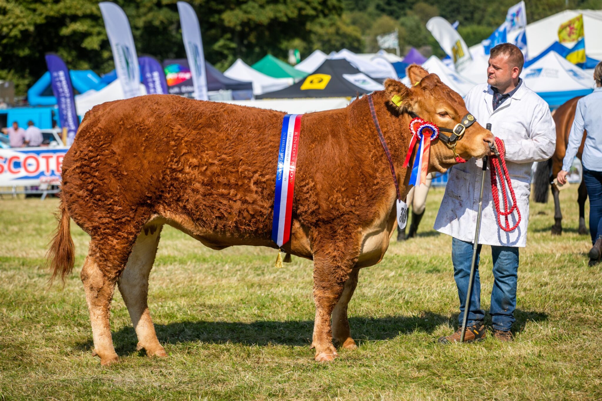All you need to know about Kinross Show