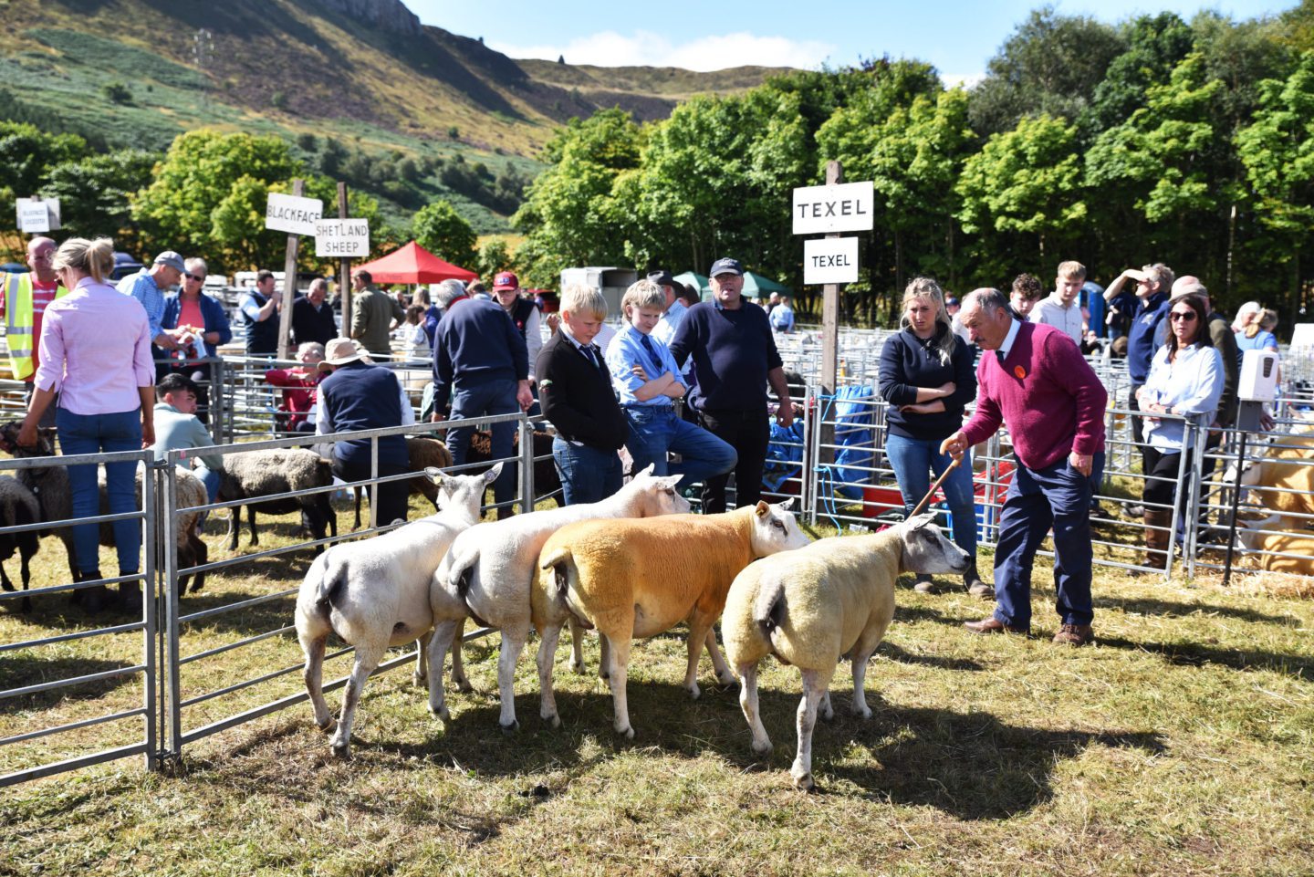All you need to know about Kinross Show