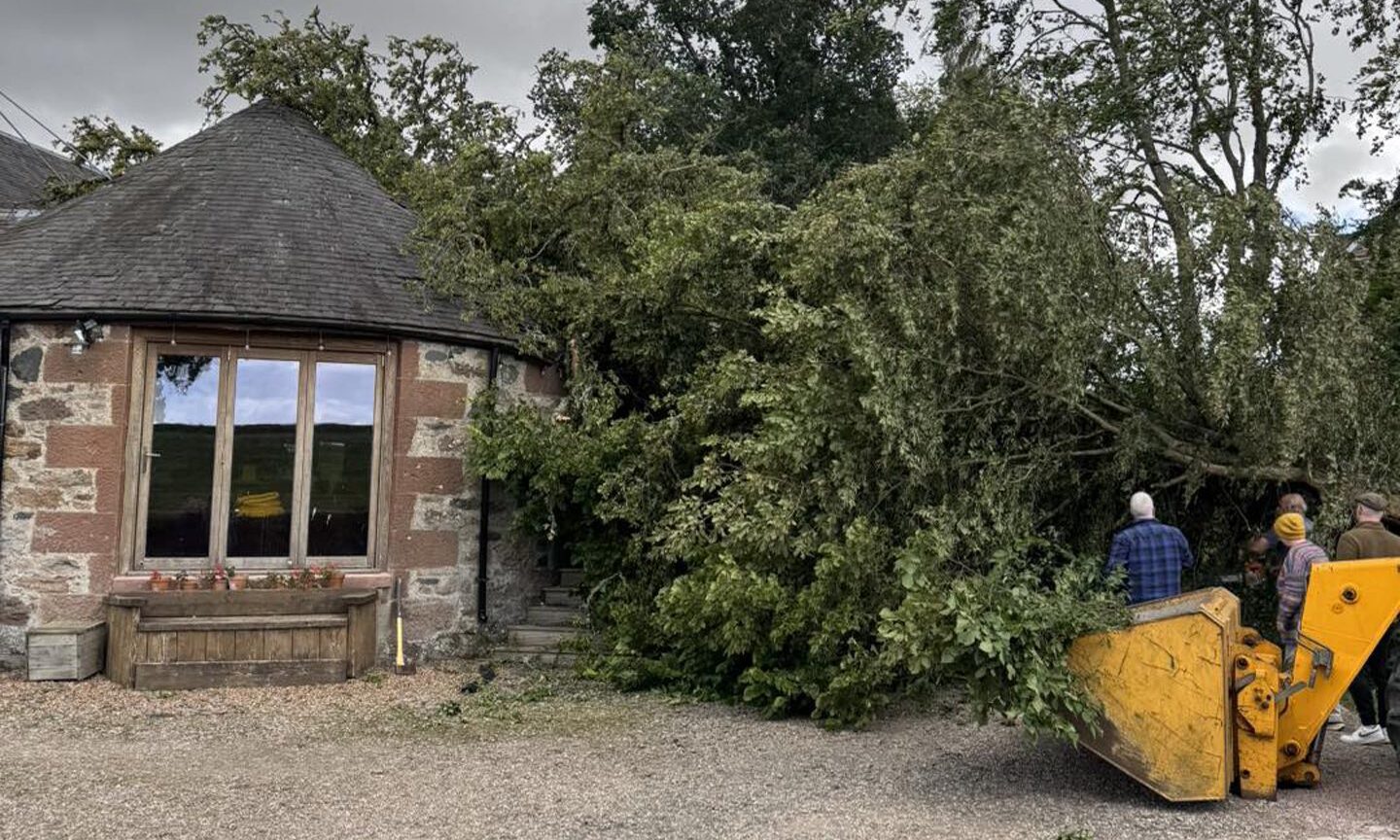 Owner recalls 'thud' as tree crashes onto Angus cafe in Storm Floris
