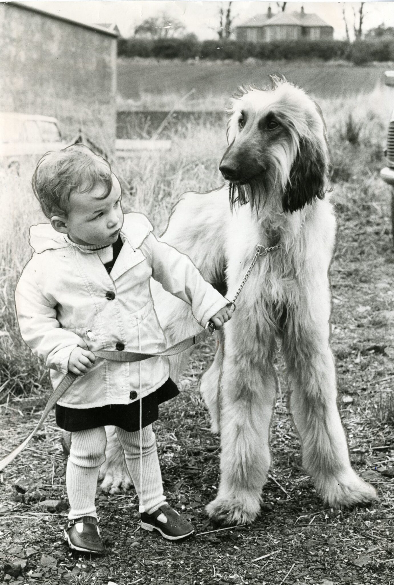 Celebrating Dundee dogs in archive photos from the 1970s and 80s