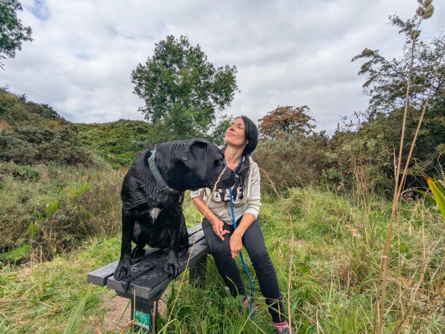 Carnoustie Fairy Steps: A whimsical walk full of surprises