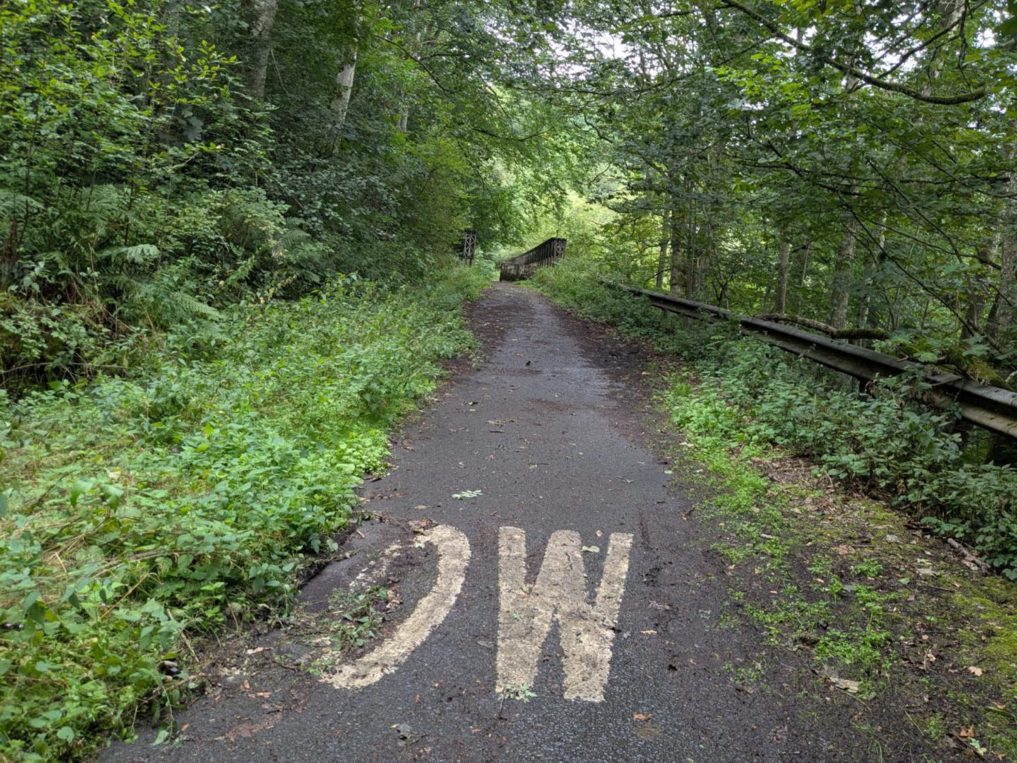 Exploring abandoned 'ghost' road north of Blairgowrie